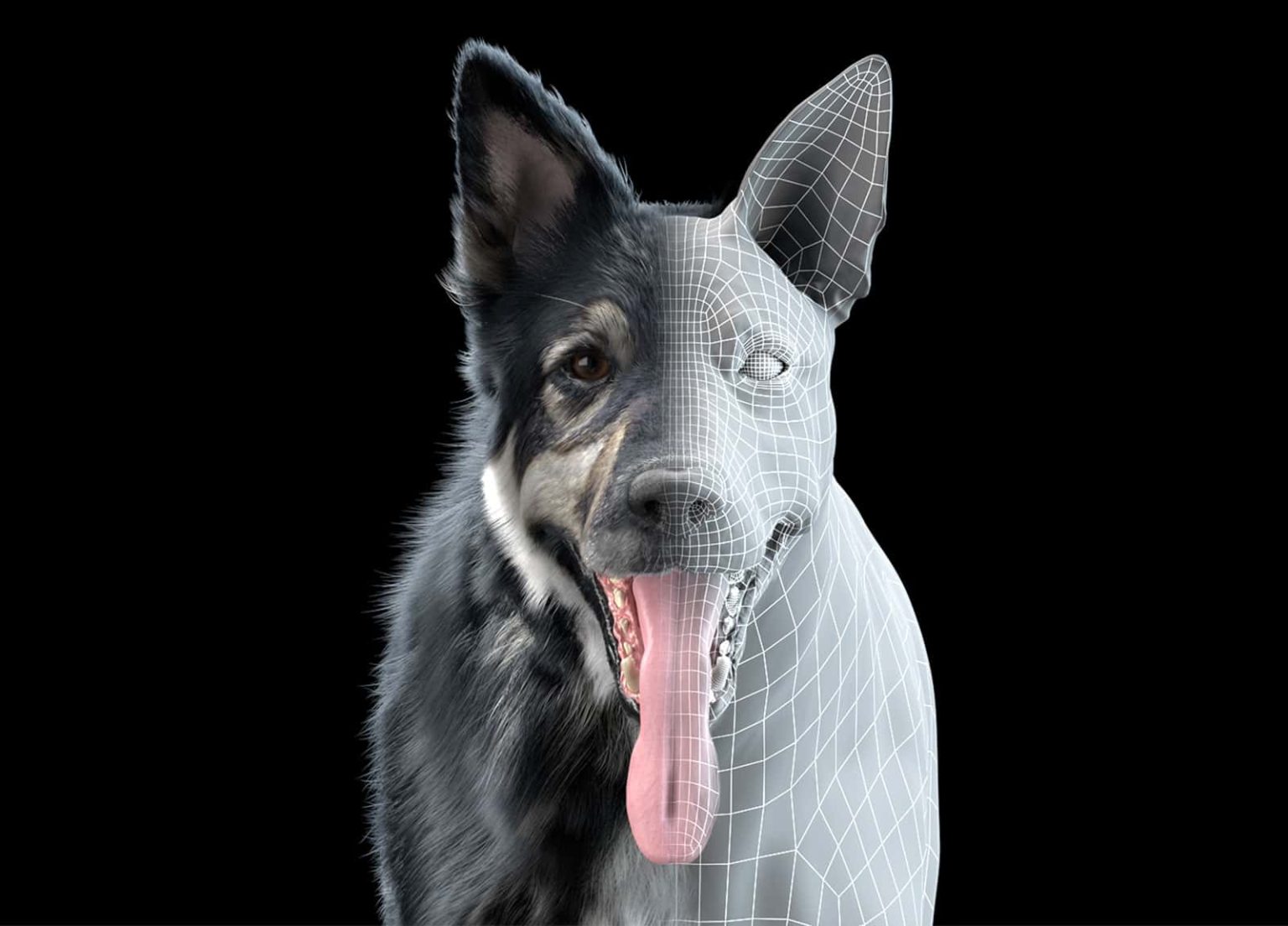 Norwich Uni Degree Shows | Norwich University of the Arts